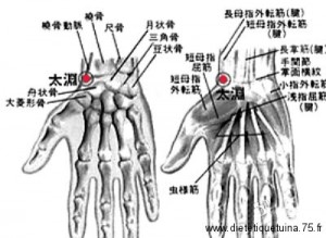 Le 9ème point du méridien du poumon