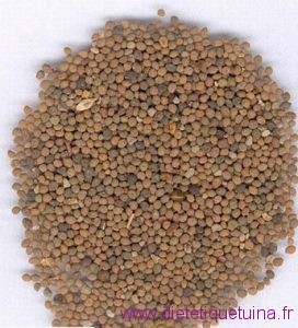 La graine de Cuscuta chinensis Lam. (Tu Si Zi) - Diététique chinoise et ...
