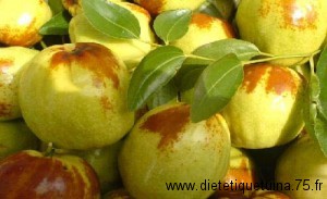 Le jujube ou datte chinoise (Da Zao)