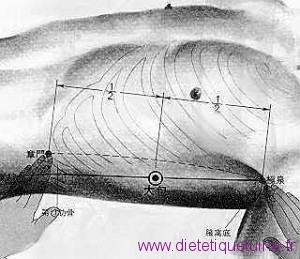 Le point Da Bao du méridien de la rate (21Rt) - Diététique chinoise et ...