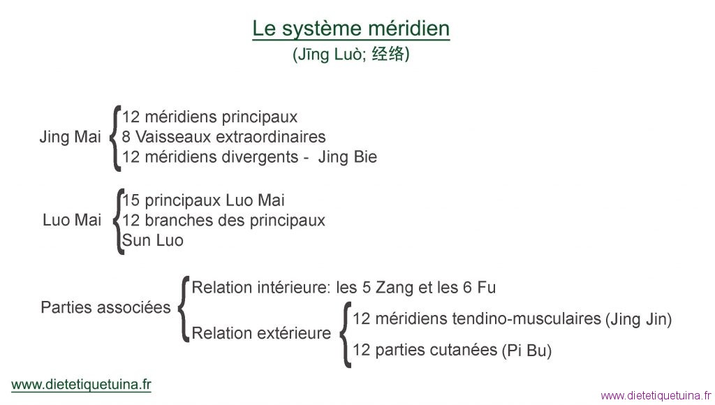 Les Principaux Méridiens de la médecine chinoise - Diététique chinoise ...